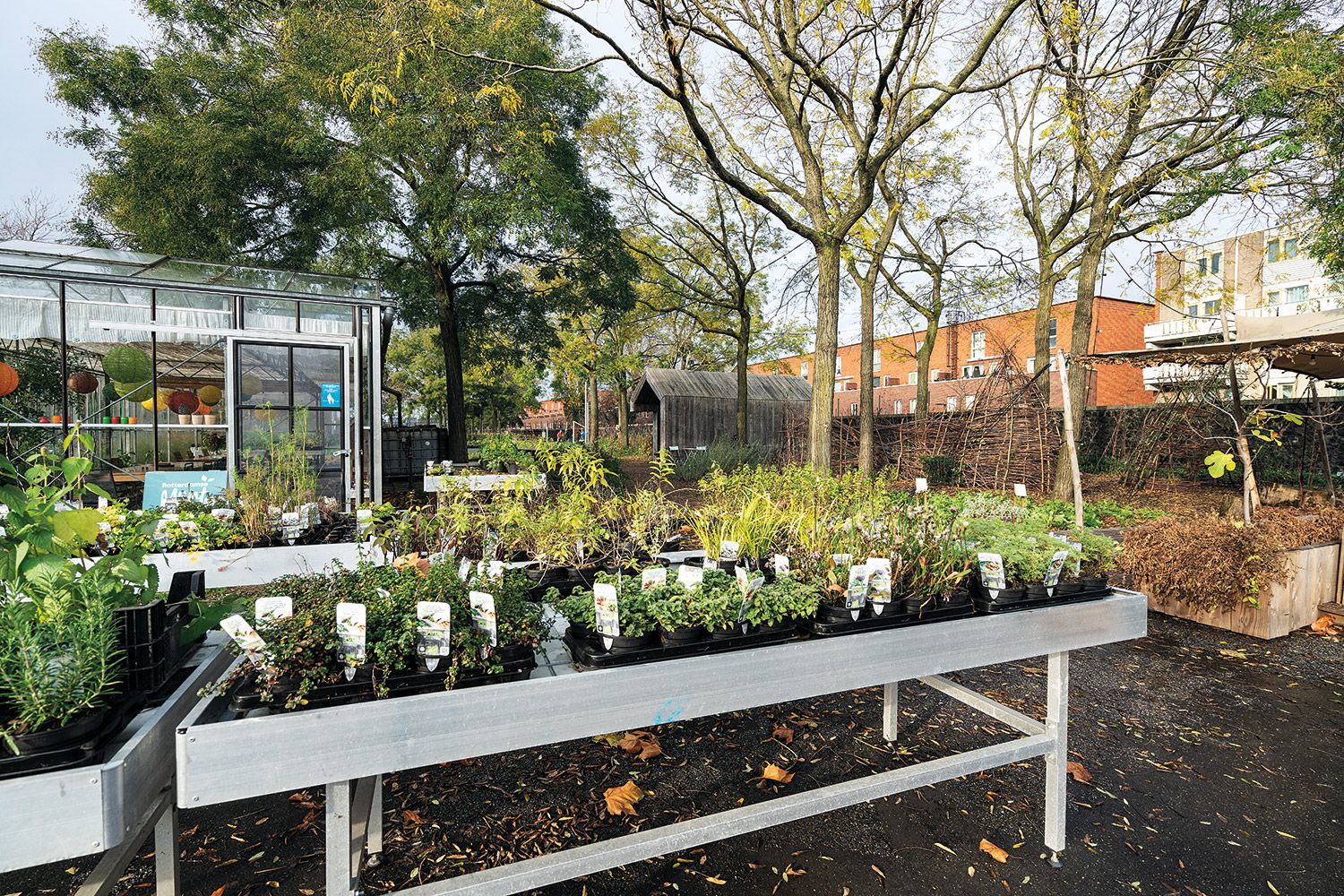 Van experiment tot groot succes - Gers! Rotterdam