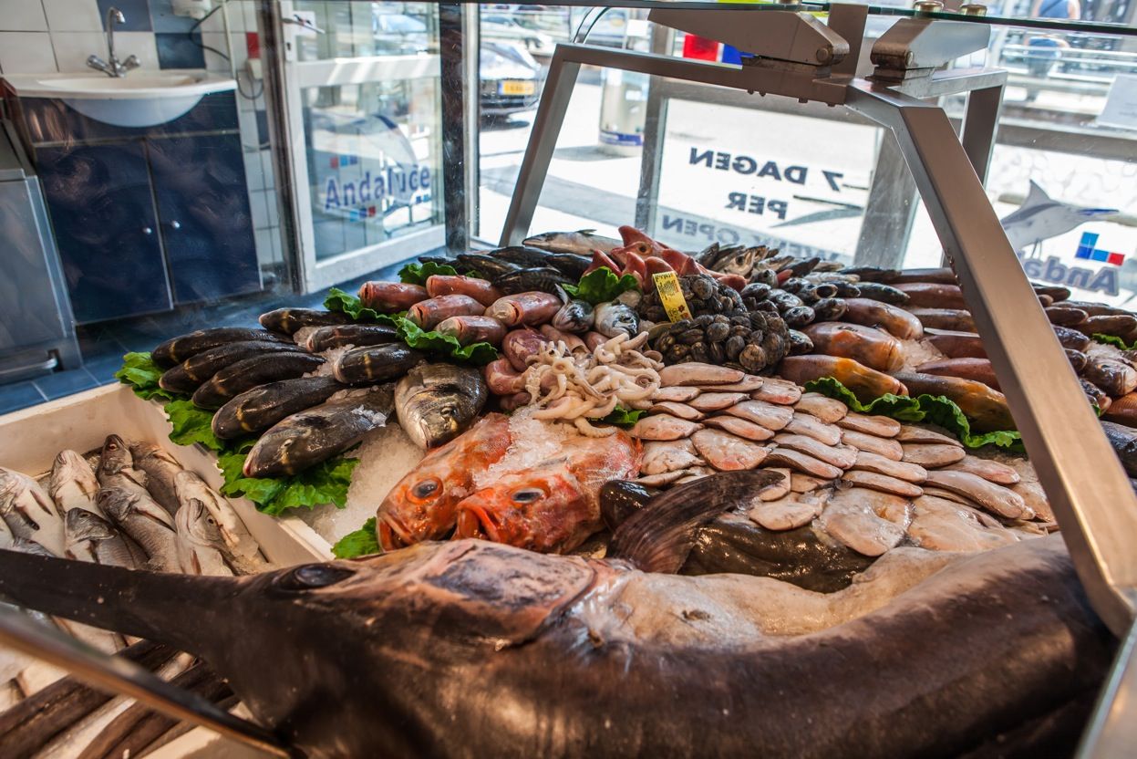 Schmidt Zeevis en Andaluce - Gers! Rotterdam